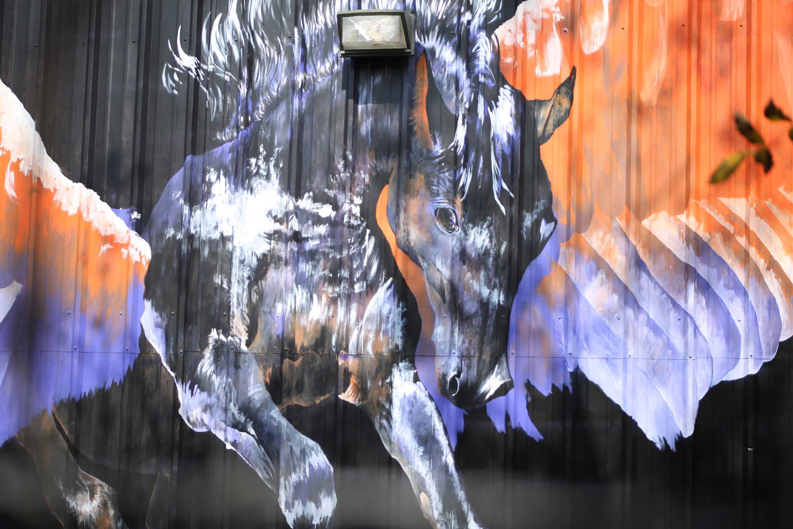 UTD alumnus honors Texas with “Wild West” mural – The UTD Mercury